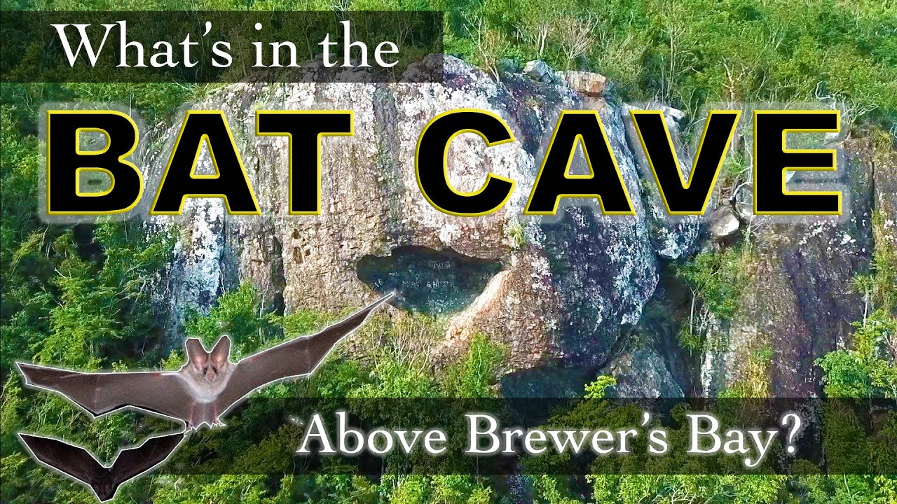 What's In The Cave Above Brewer's Bay? - YouTube