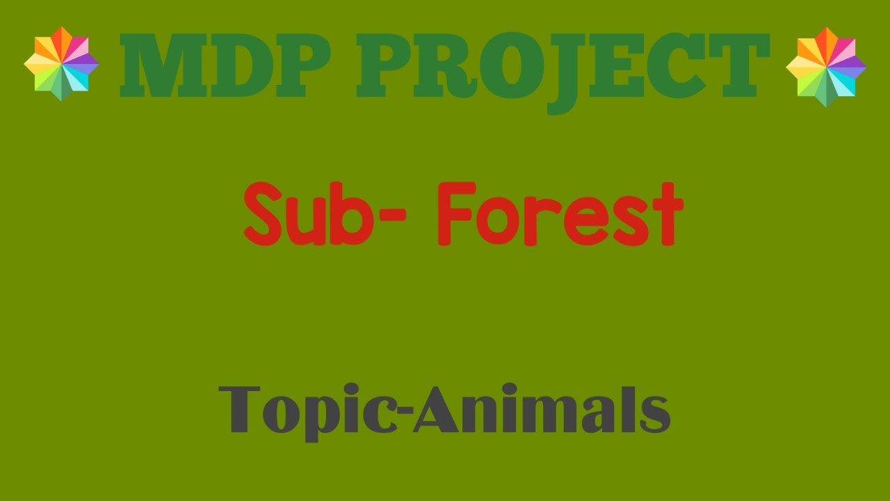 MDP Project//Sub-Forest//Topic-Animals #extreme_studies - YouTube