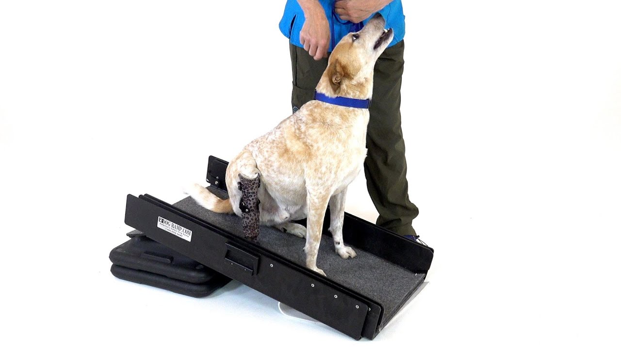 Sit or Sit-to-Stand on Incline - YouTube