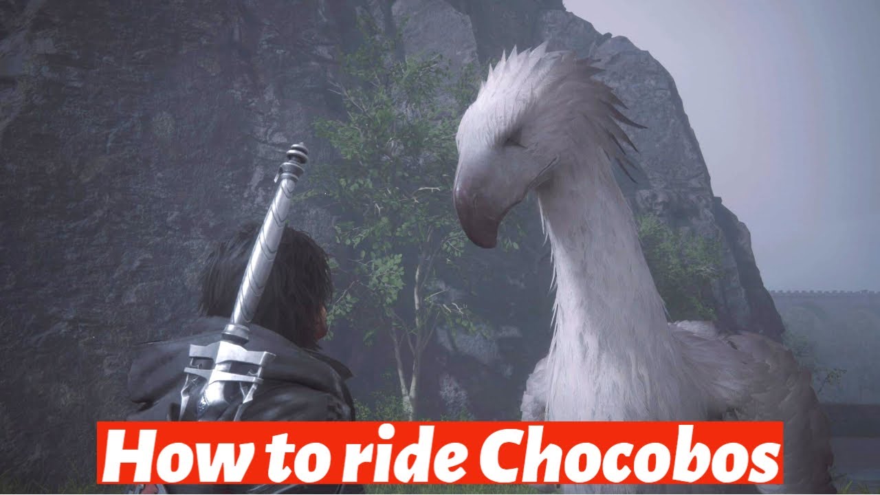 How to ride Chocobos in Final Fantasy 16 - YouTube