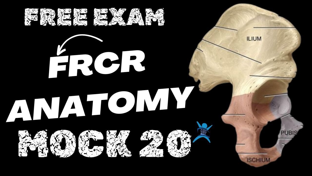 Conquer the FRCR Anatomy Exam: MOCK Exam 20 - Body Variants #FRCR #ABR ...