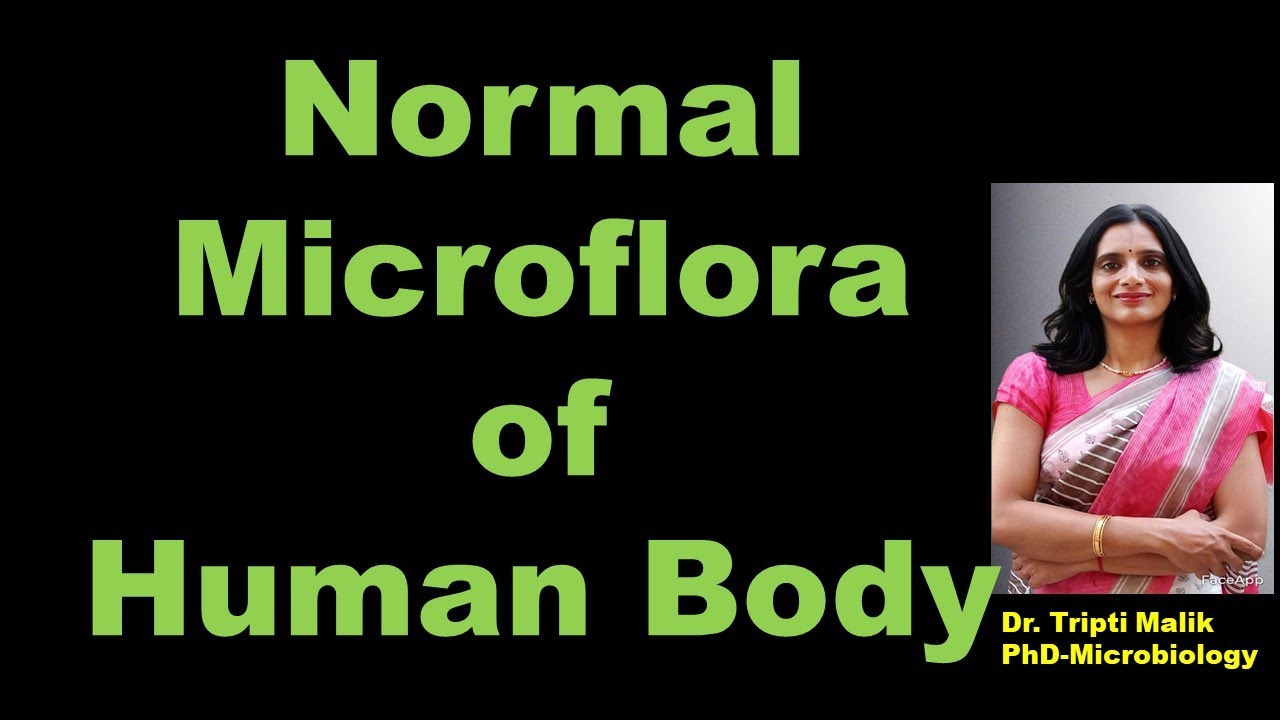 Normal Microflora of Human Body| Normal Microflora Microbiology | NMF ...