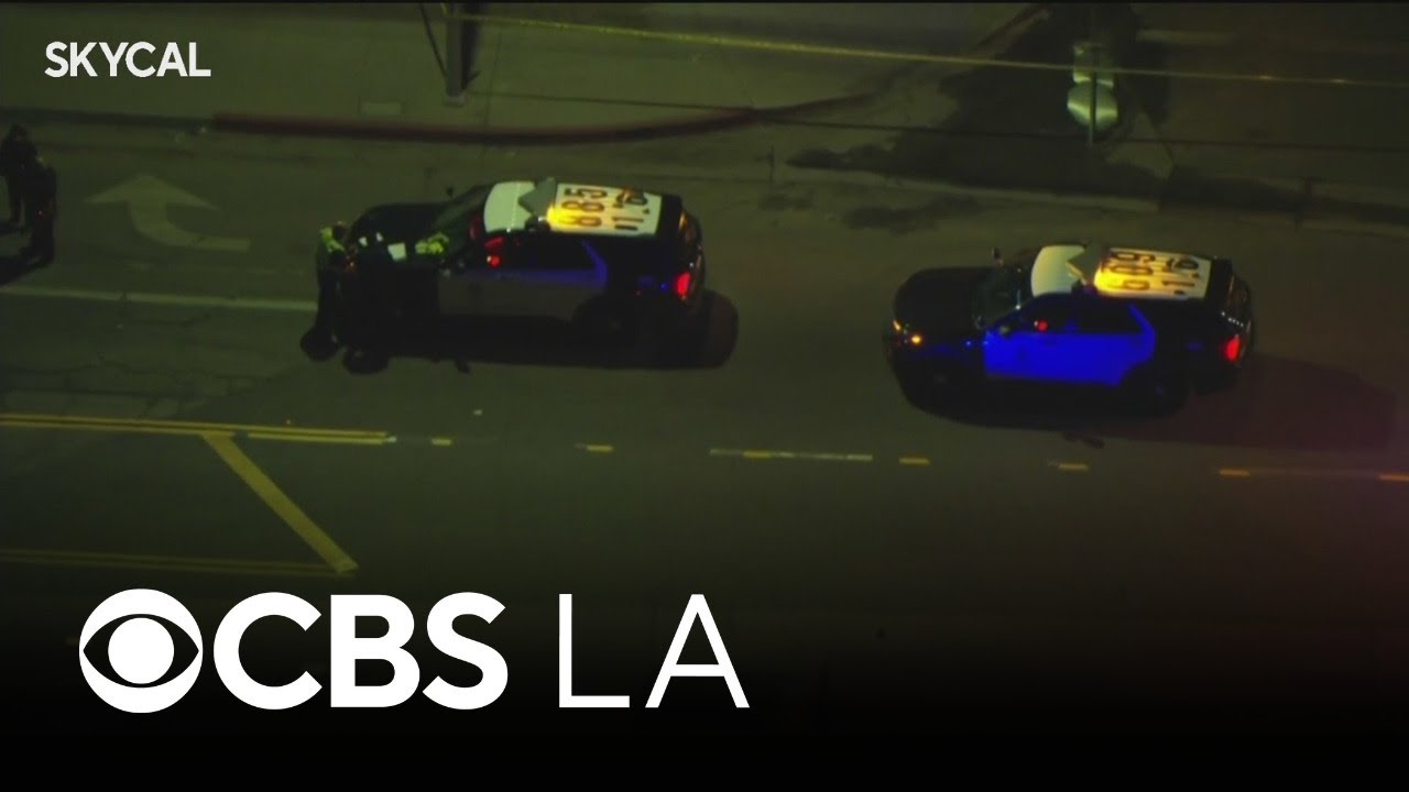 LAPD investigates deadly hit-and-run crash in Lake View Terrace - YouTube