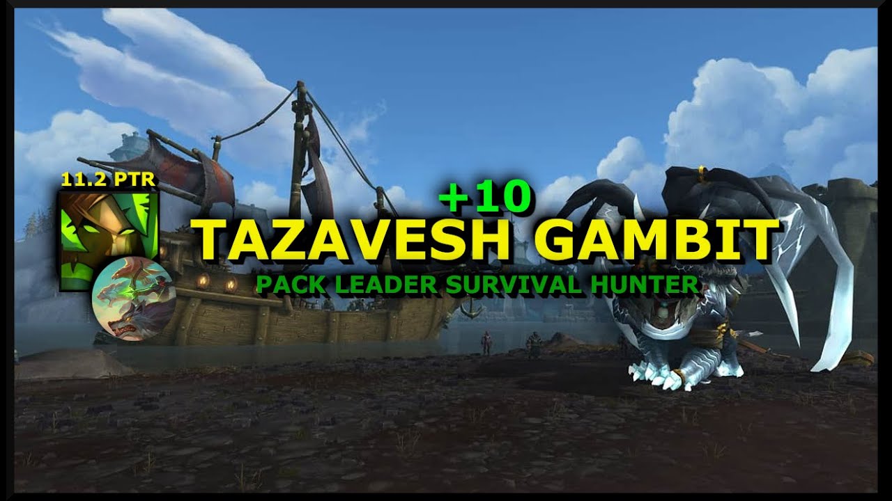 STAMPEDE CRAZY DPS MAYHEM!! - 11.2 PTR - Pack Leader Survival Hunter ...