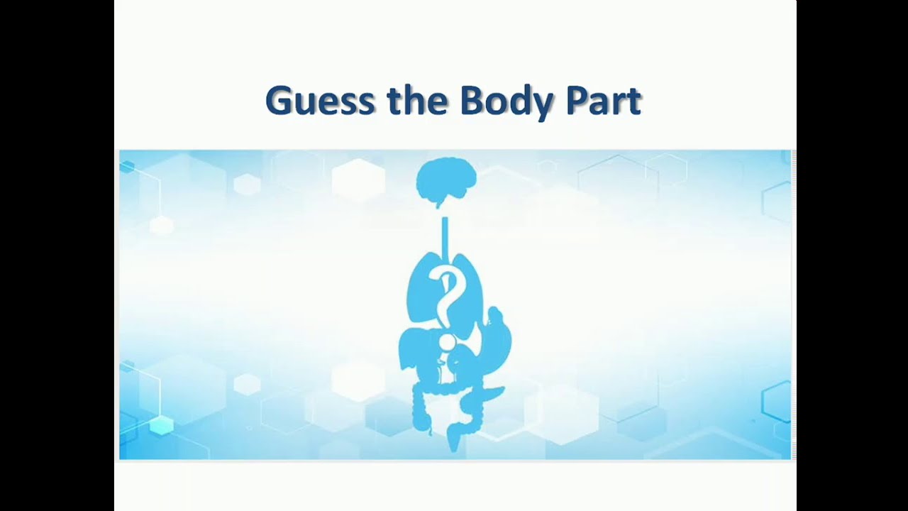 Guess the Body Part | Quiz Answer | videoquizhero - YouTube
