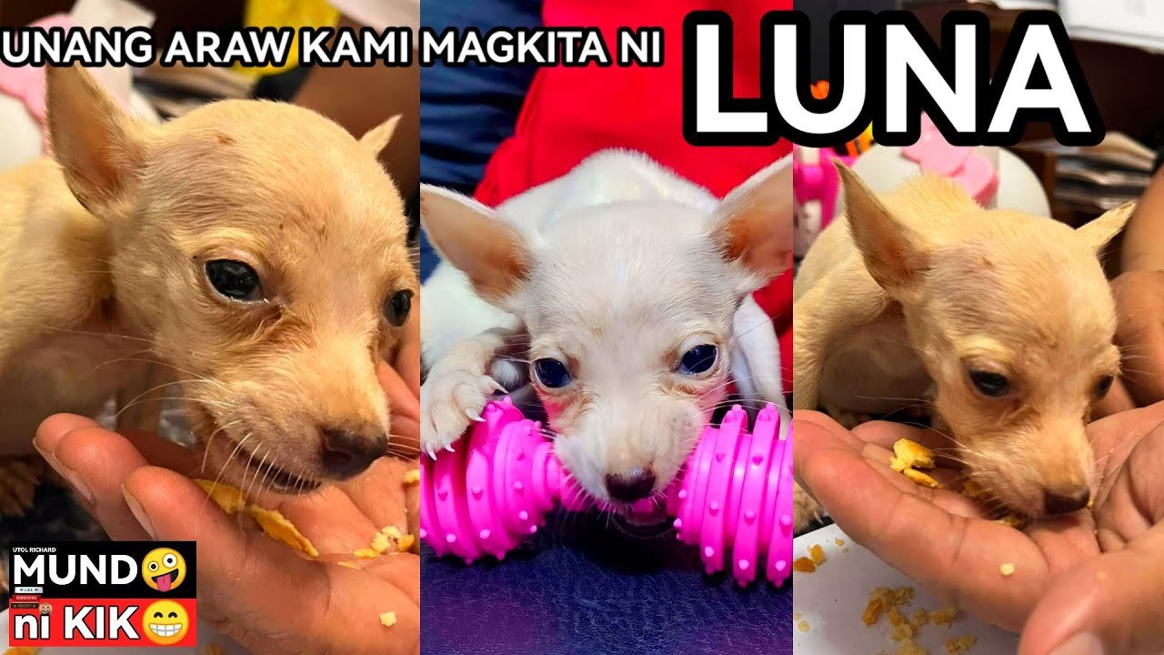 mundo ni kiko🤪/salamat 😇🙏😇/utol richard #manilaupdates #hugot # ...