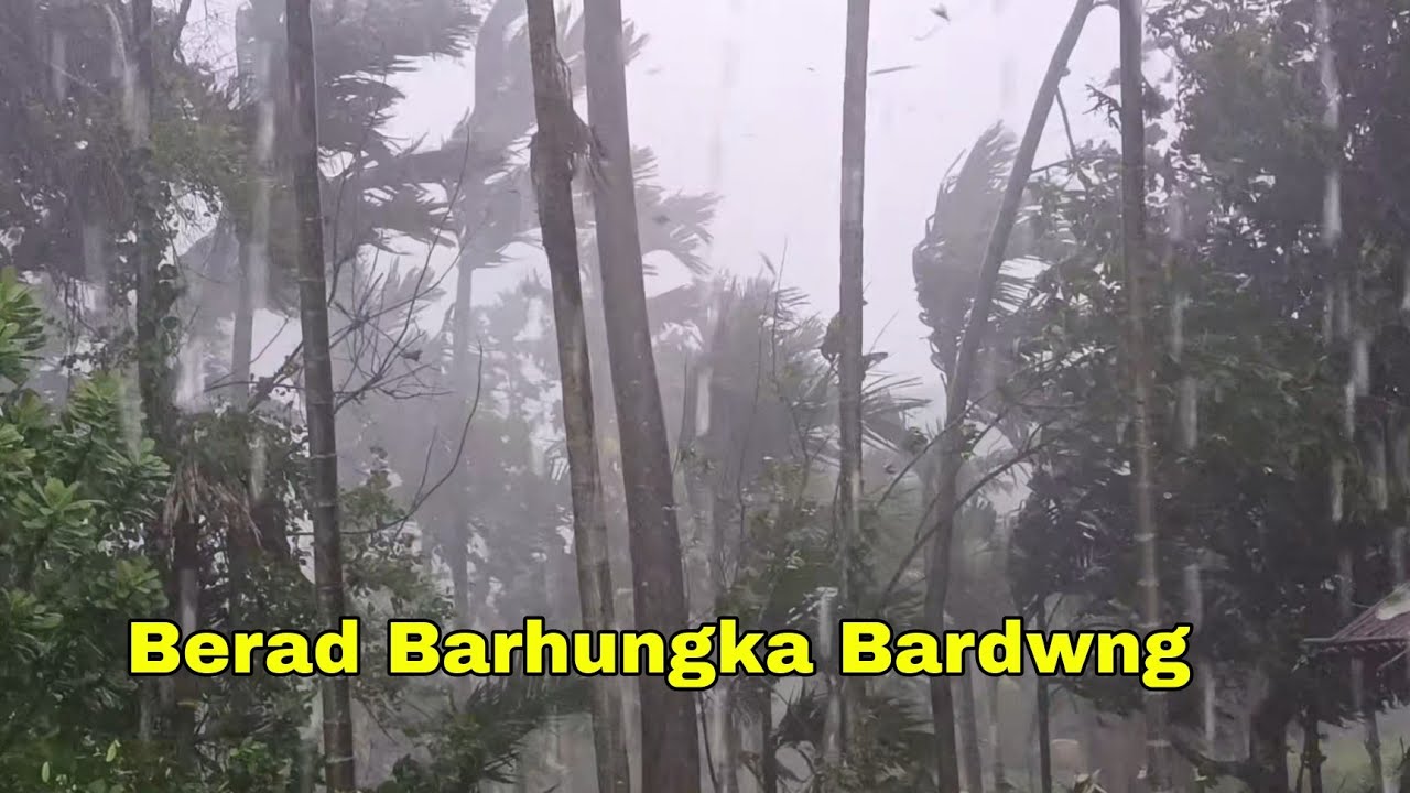 Aiwo Berad Barhungka Bardwng Jwngni Sonitpur ao | New bodo vlog video ...