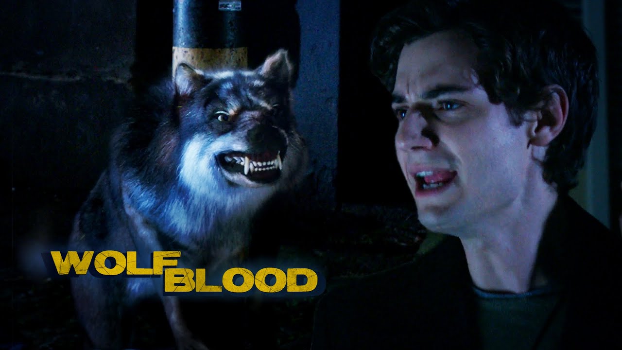 Humans | Season 5 Short Episode 5 | Wolfblood - YouTube