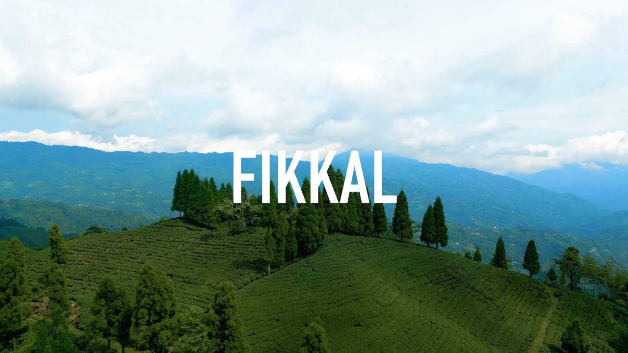 Visiting La Mandala Speciality tea factory in Fikkal, Ilam - YouTube