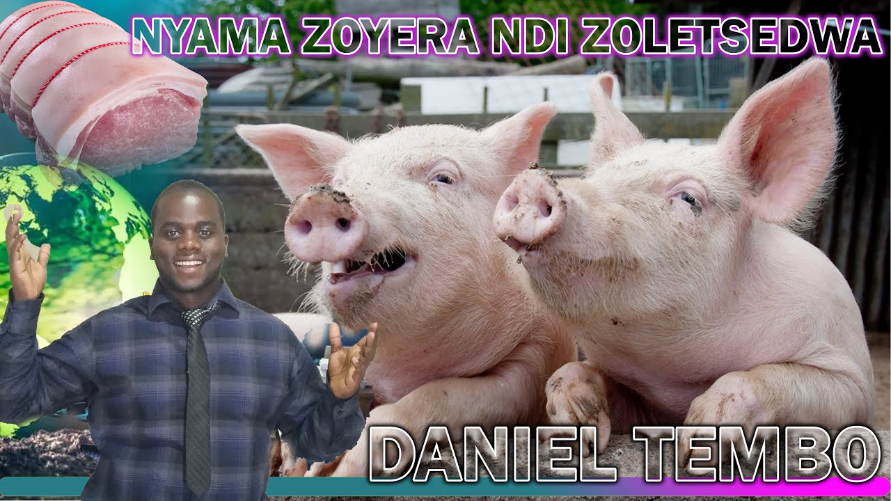 11. D & R Zakudya za Daniel Ku Babulo_____Daniel Tembo - YouTube