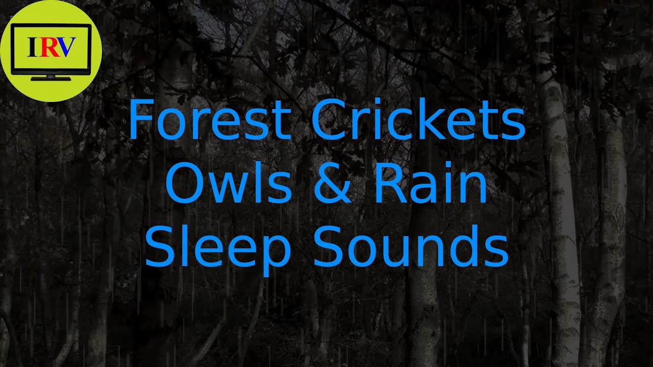 Forest Crickets, Owls, Rain - 10 Hours Night Ambient Sounds For Sleep ...