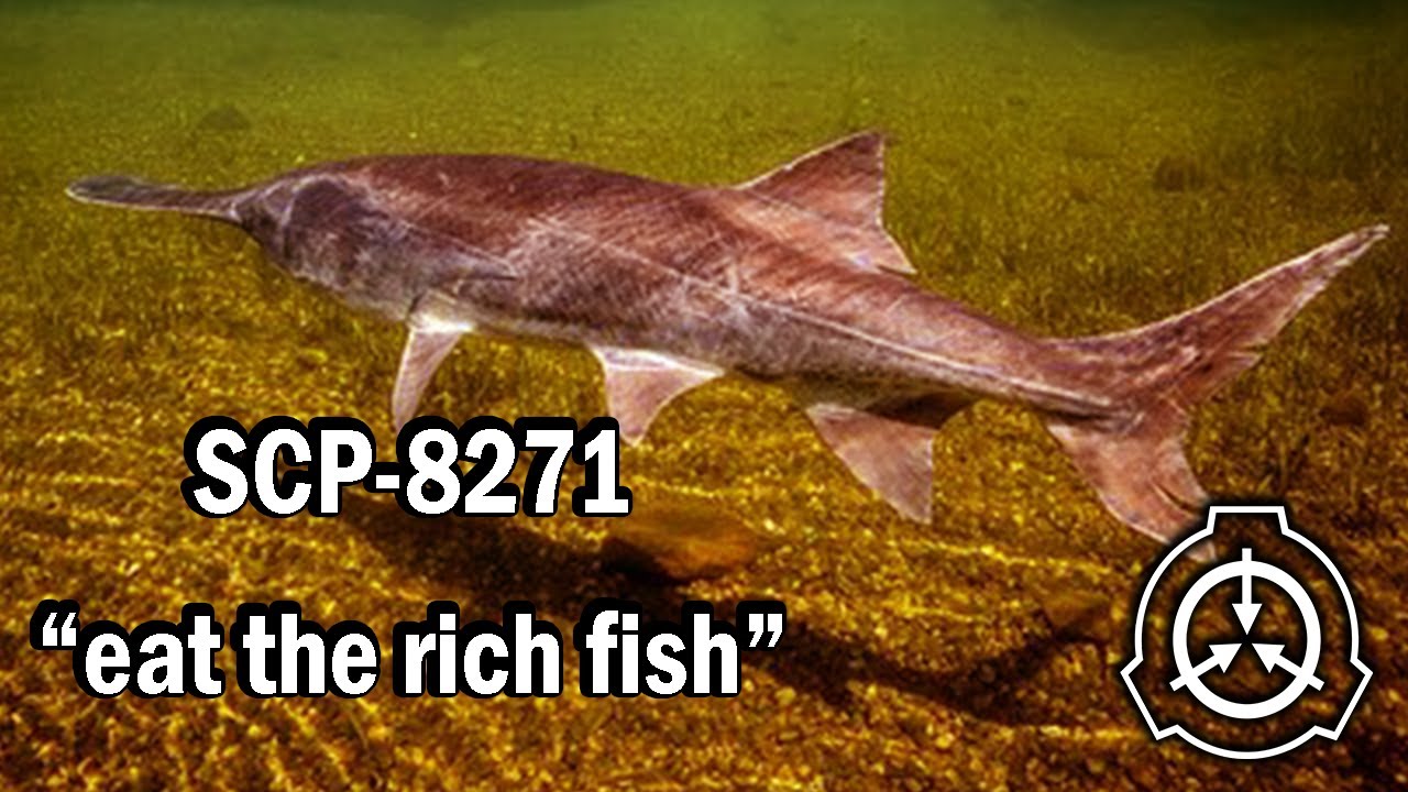 SCP-8271 "eat the rich fish" Euclid [SCP Document Reading] - YouTube