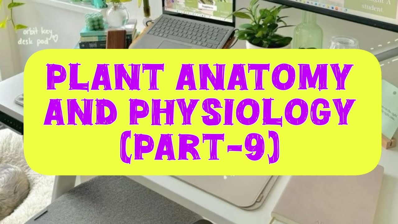 Plant Anatomy and Physiology-Part-9 - YouTube