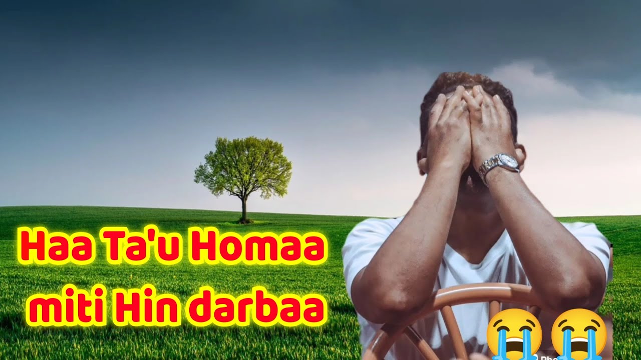 Haa ta'u Homaa miti Hin Darbaa😭 Faarf/ Taayyee Baqqallaa #Oromoo_Gospel ...