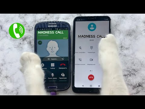 The Cat Calls On An Incoming, Outgoing Call To Redmi Mi A2 lite and ...