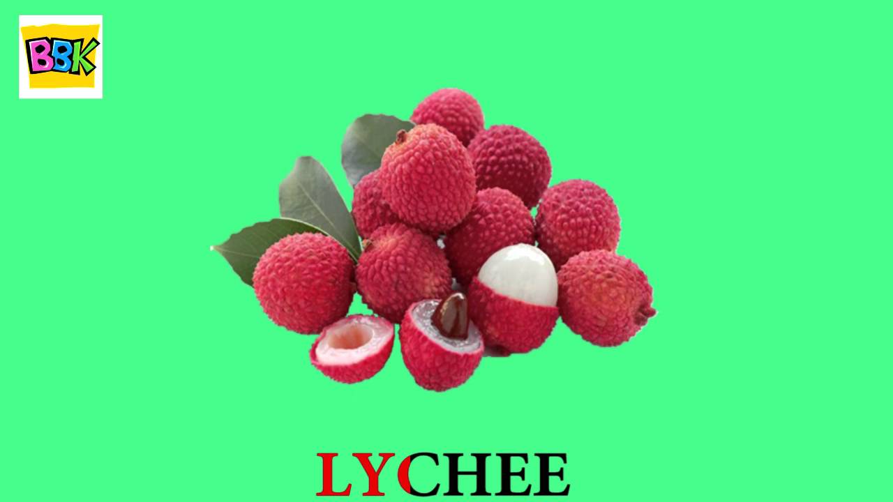 The Finger Family Song | Lychee | English Nursery Rhymes For Kids - YouTube