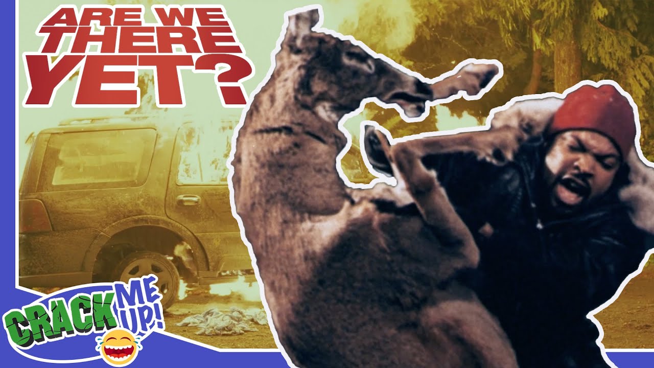 ICE CUBE fights a DEER | Are We There Yet? | Best Scenes - YouTube