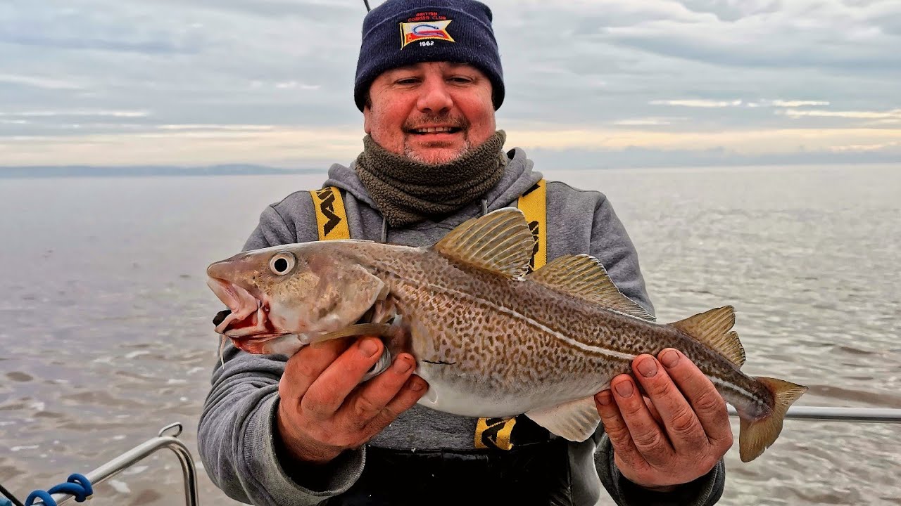 COD Fishing BRISTOL CHANNEL UK - YouTube