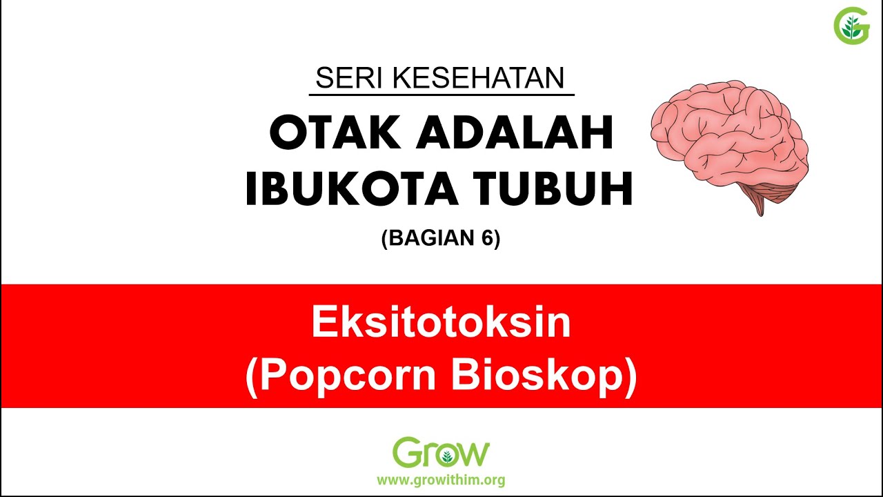 Otak Adalah Ibukota Tubuh (Bagian 6) - Popcorn Bioskop - YouTube