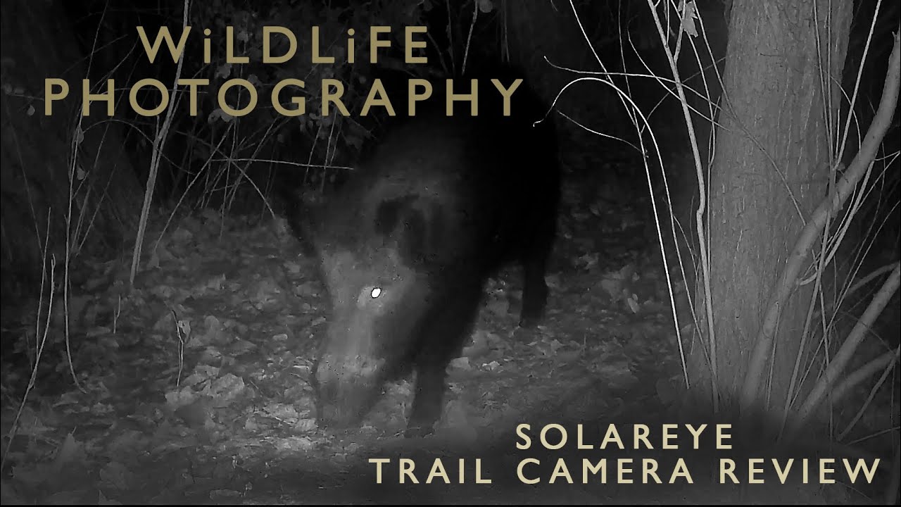 Solareye Trail Camera Review - YouTube