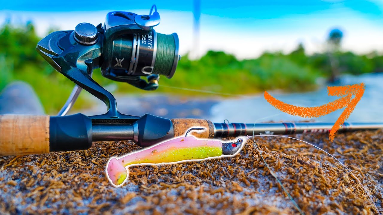 Fishing MILES of Shoreline Covered in Bait-Fish! - YouTube