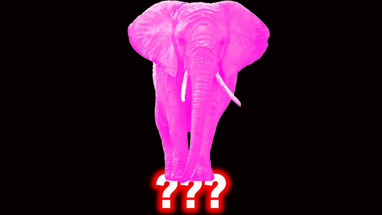 15 Elephant Sound Variations in 30 Seconds - YouTube