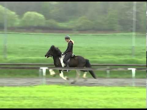 Susi von Mietraching - FIZO Wurz 2013