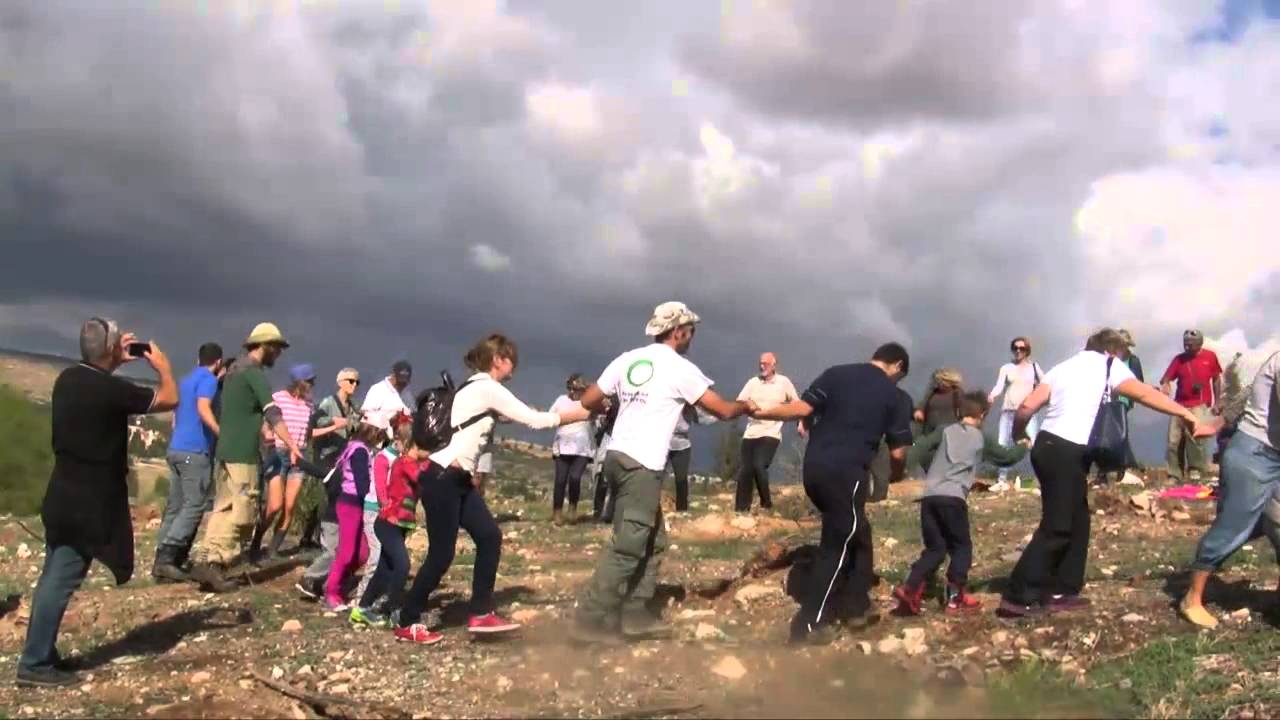 Reforestation in Cyprus - "Λατζιά project - Getting into the sacred Oak ...