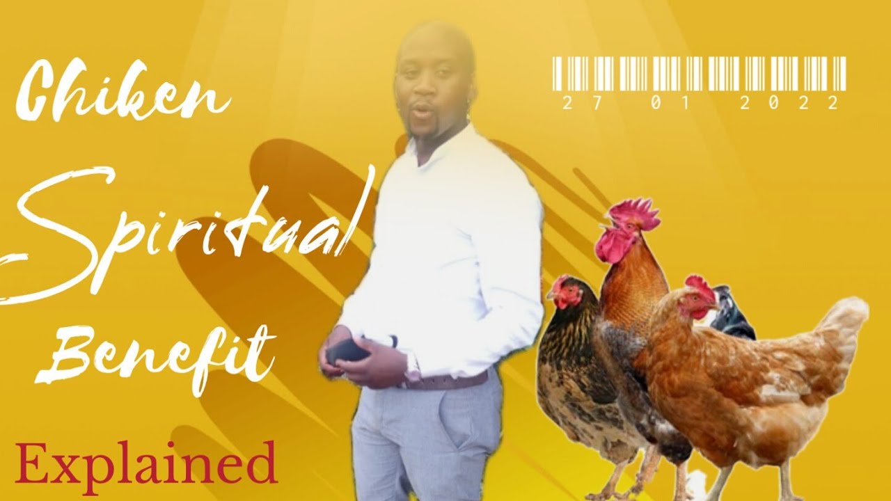 Hlaloso ya tshebediso ya kgoo🐓🐔🐓e ntsho, khwarahla le e tshweu - YouTube