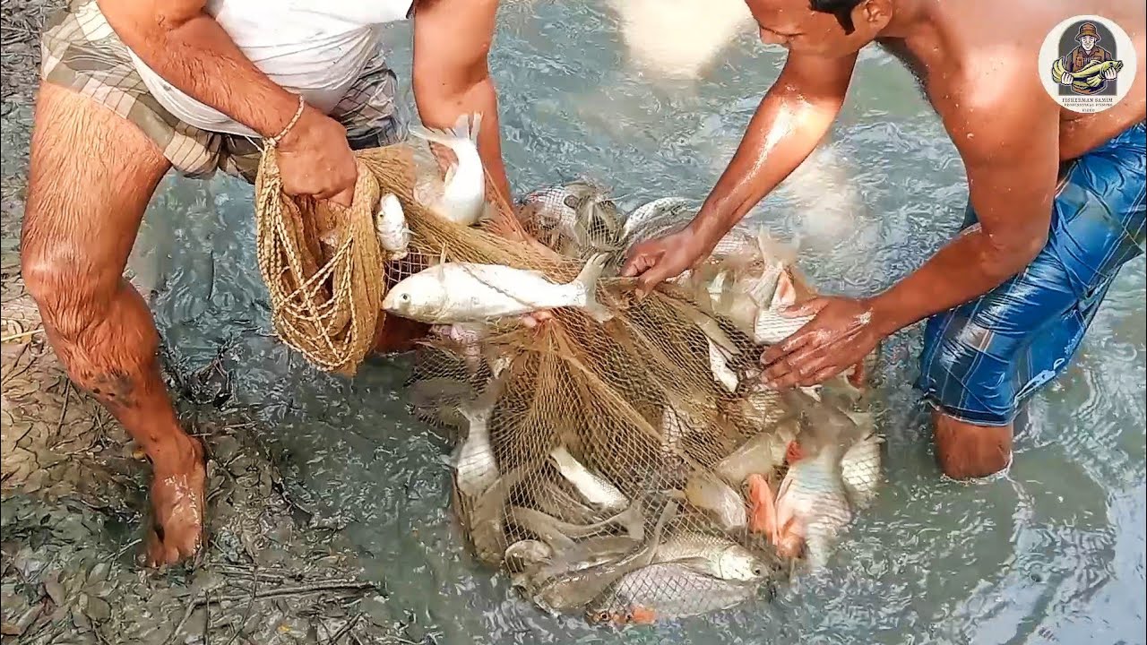 Amazing fish catching video | Video of catching big fish with net in ...