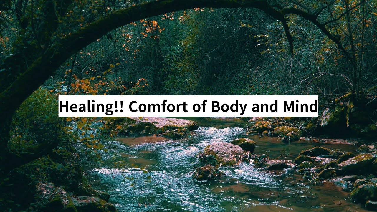 Healing video that seeks comfort of body and mind - YouTube