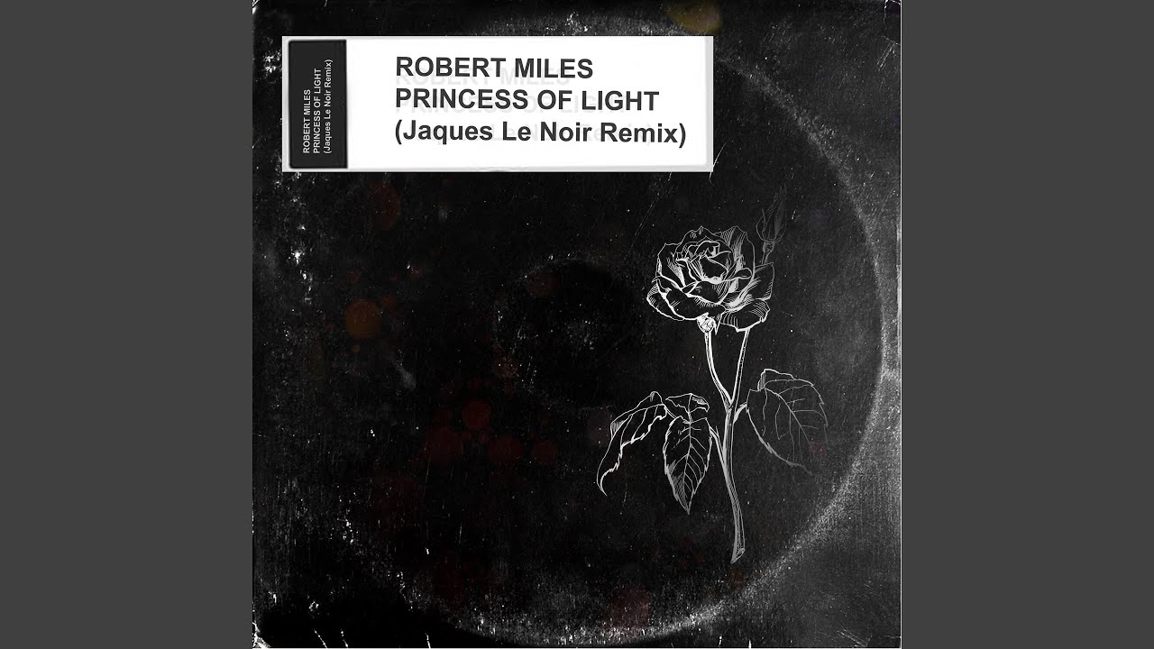 Princess Of Light (Jaques Le Noir Edit Remix) - YouTube