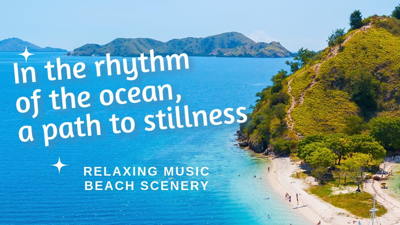 Ever feel like the world is too loud? Are you searching for a moment of ...