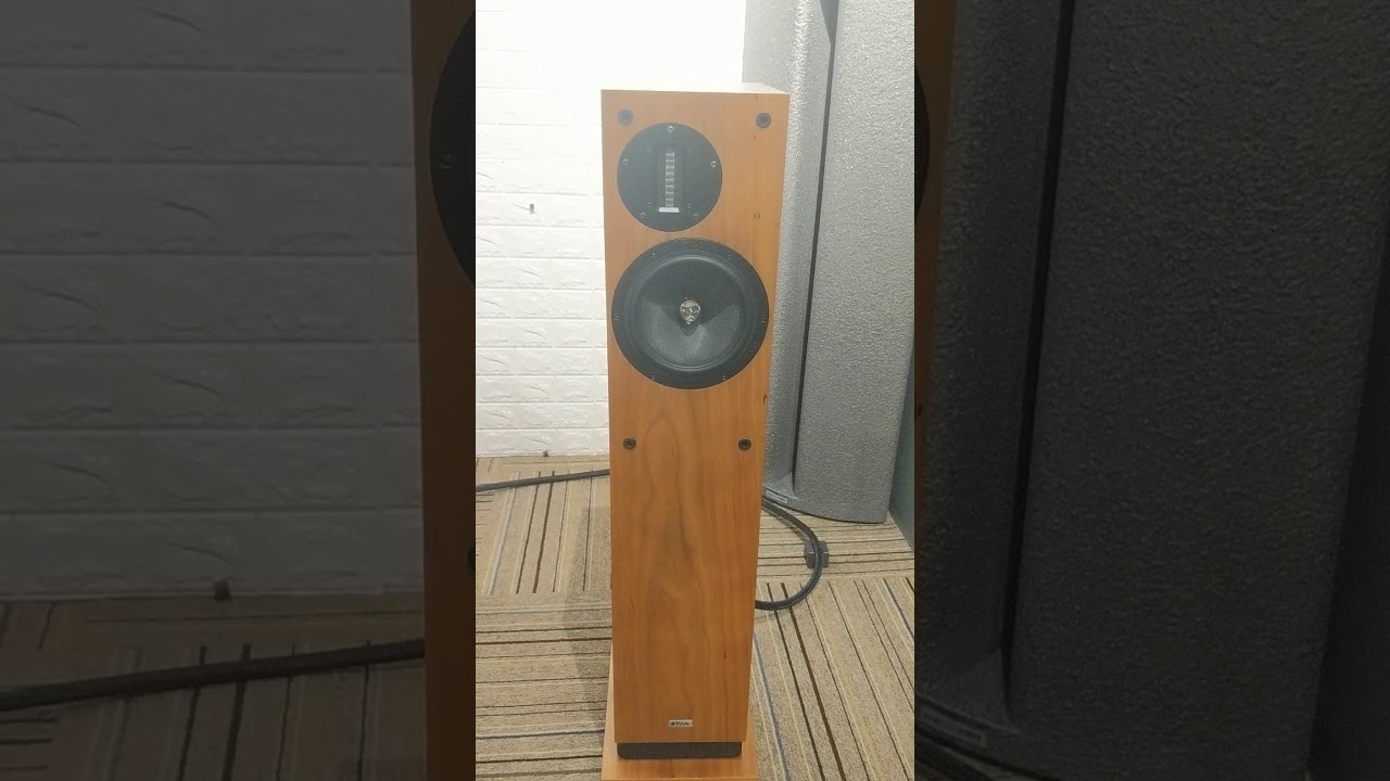 ProAc Response D20R Floorstanding Speakers - Take 2 - YouTube