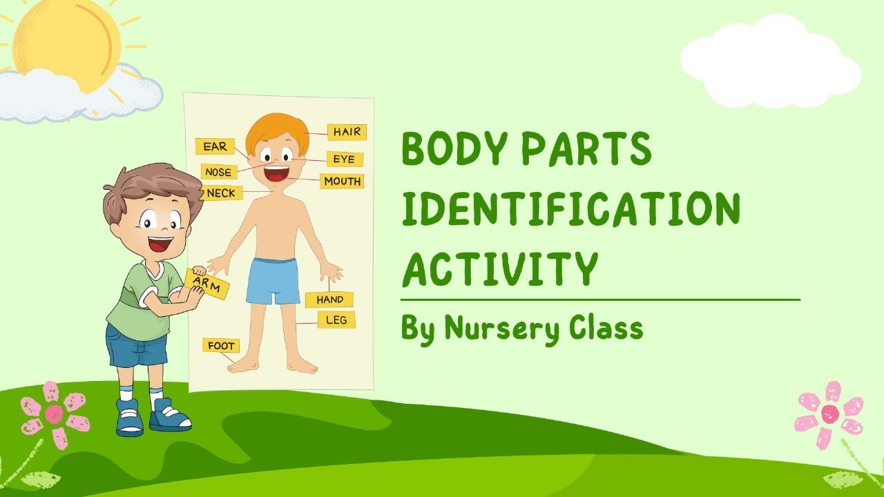 Body Parts Identification Activity for Nursery | Fun Learning for Kids ...
