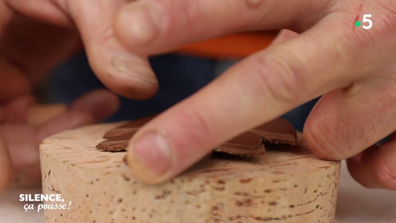 Atelier créatif : tampons et pochoirs avec Adeline Solignac - Silence ...