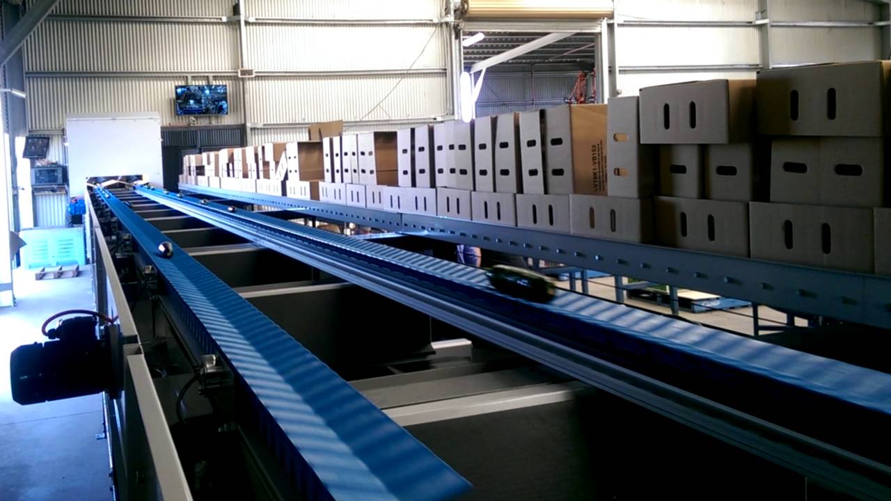 Zucchinis Sorting System - YouTube