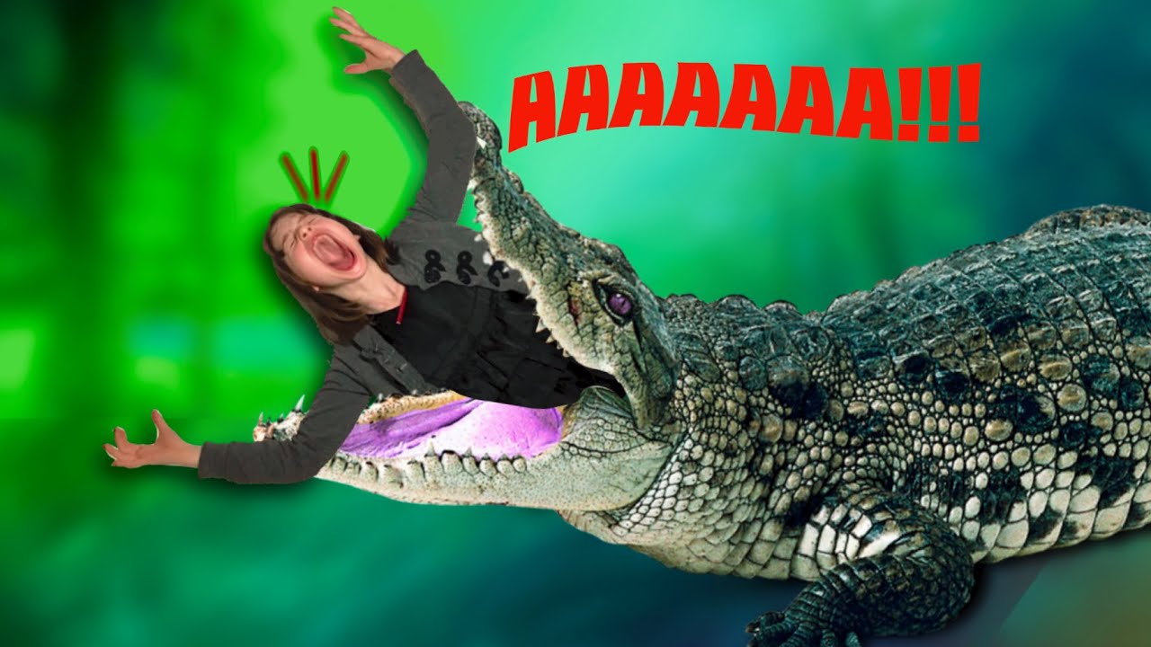 KROKO LOKO (met sterregaming super gaming actie) kinderen kinderachtig ...