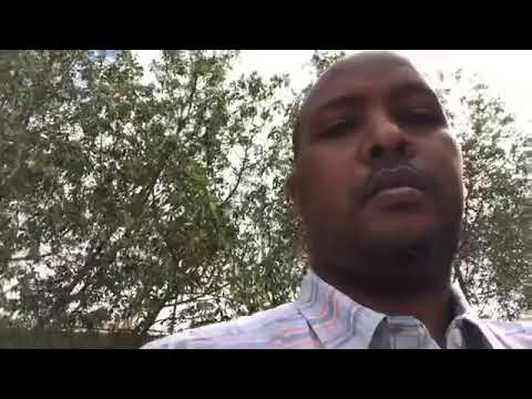 Hoodo Mo Graduation day at Golis University Hargaisa. - YouTube