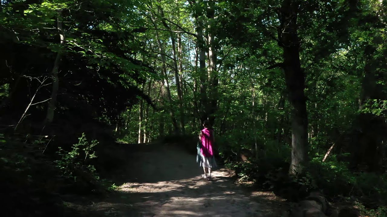 Eridge Rocks Nature Reserve - YouTube