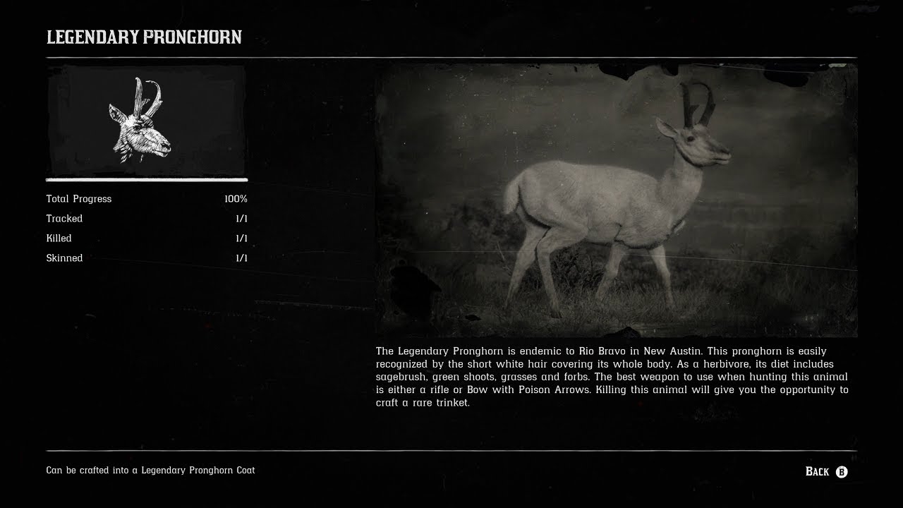 Red Dead Redemption 2 - Legendary Pronghorn Location - YouTube