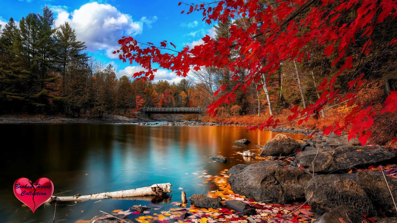 Joey Gregorash - Together The New Wedding Song - YouTube