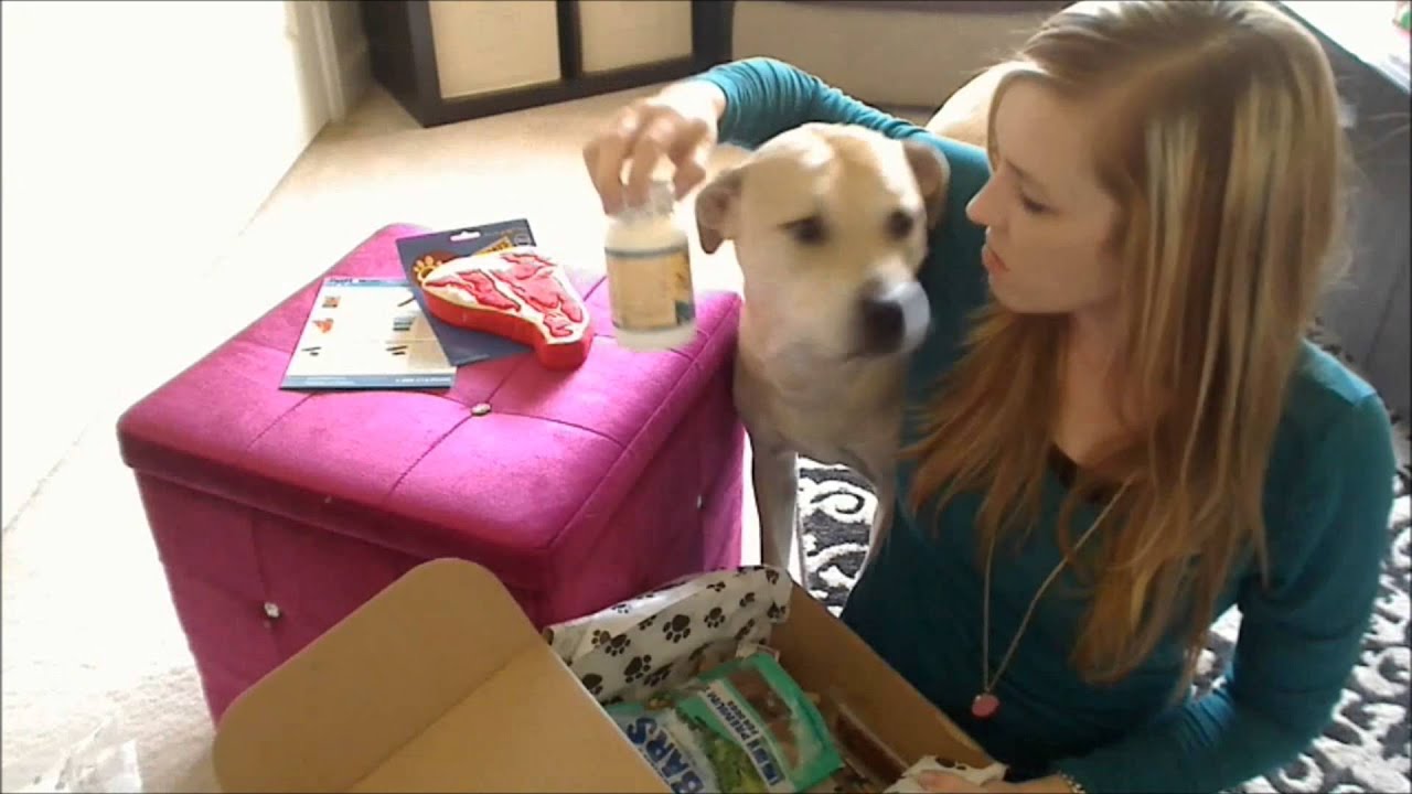 Petflow Spoiled Rotten Box for June!! (+ bLoOpSiEs!) - YouTube