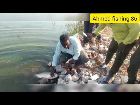 ahmed fishing 86 || Rahu fishing|| Catla size || - YouTube