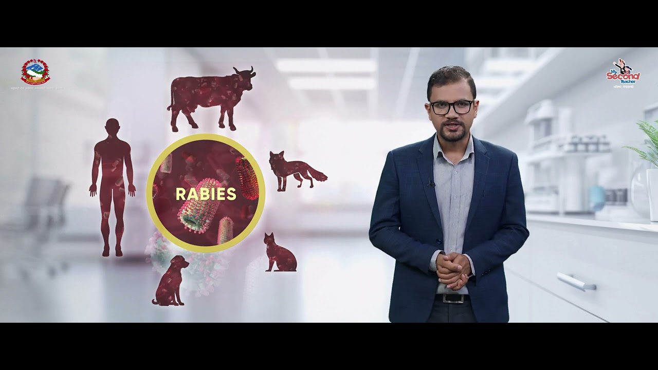 RABIES AWARENESS VIDEO NEPALI - YouTube