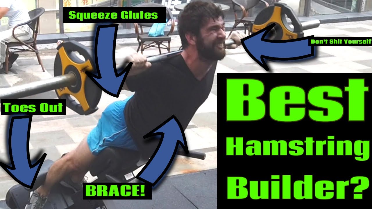 Back Extensions Are Fantastic (Posterior Chain/Hamstrings) - YouTube