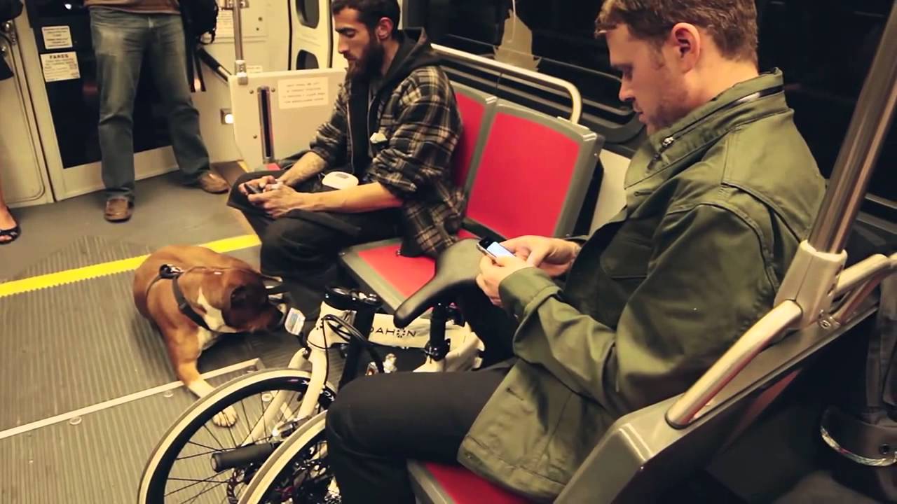 DAHON Formula S18 - разложив его, ты откроешь для себя свободу. - YouTube