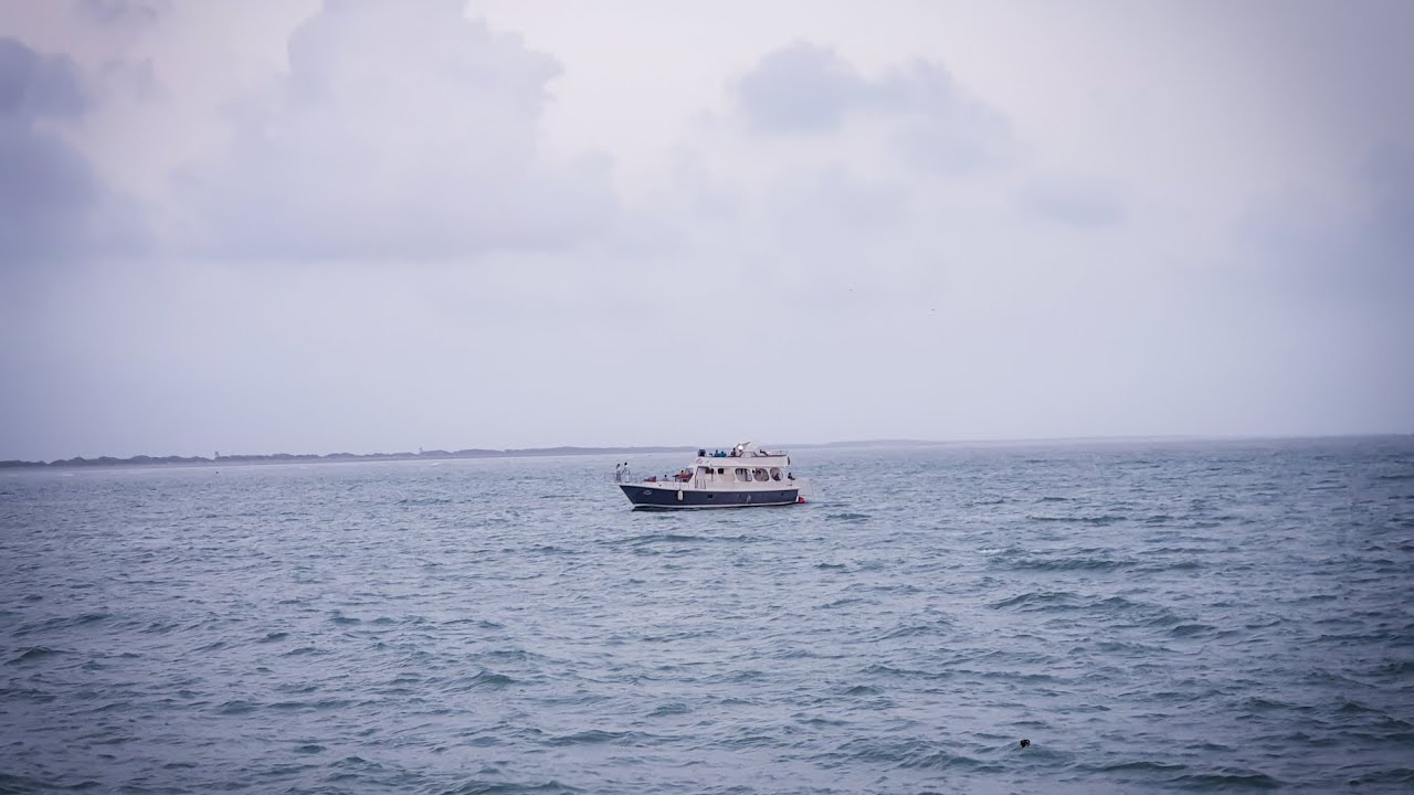 Editing tutorial in Adobe photoshop express #adobe #adobephotoshop # ...