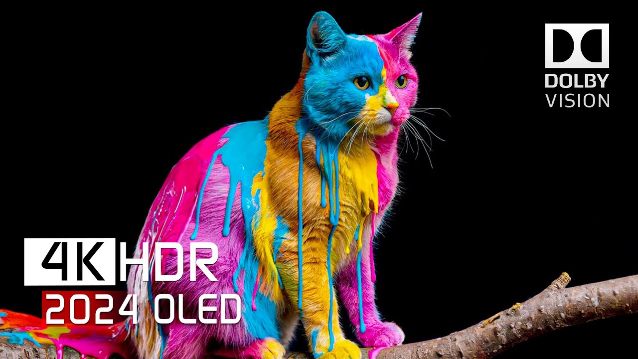 Fabulous Dolby Vision Demo 4K HDR 60fps - 4K Video ULTRA HD - YouTube