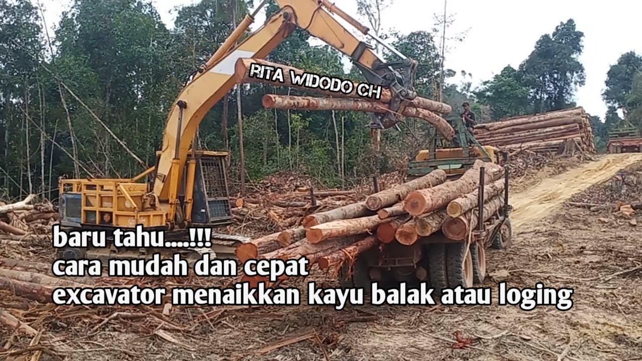 cara excavator menaikkan kayu balak atau loging - YouTube
